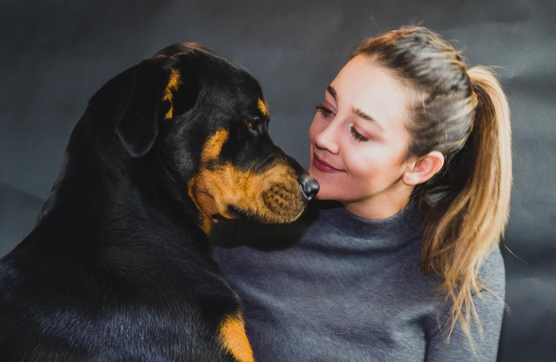 Most Loyal Dogs: TOP-10 Most Devoted Breeds - Dog Care HQ